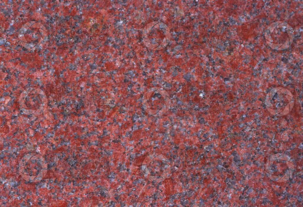 Rubin Red – El Alfy Co.